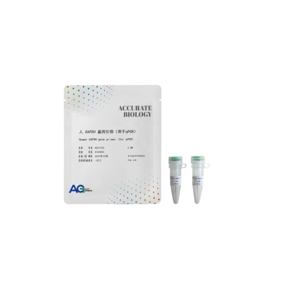 人 GAPDH 基因引物对（用于 qPCR） – Accurate Biology