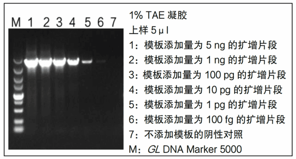 ApexHF HS DNA 聚合酶预混液 – FS（含染料） – Accurate Biology