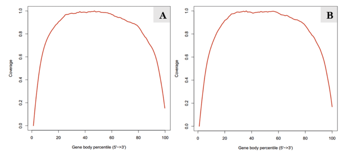 AccuNext 链特异性 RNA 文库制备试剂盒（Illumina） – Accurate Biology